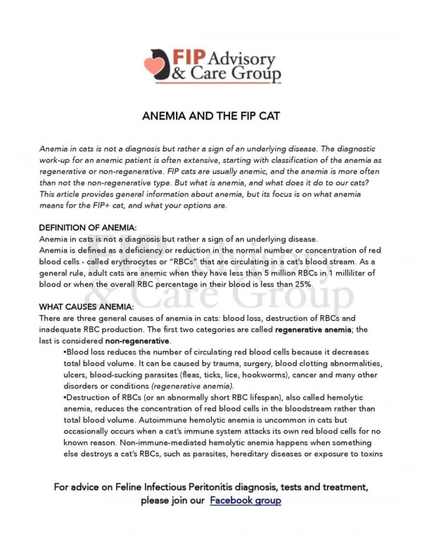 Diagnosing and Testing for FIP – FIP Cats UK