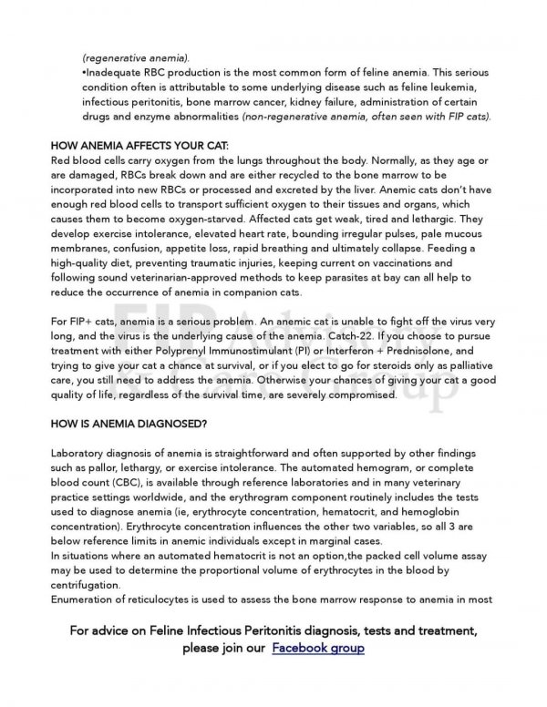 Diagnosing and Testing for FIP – FIP Cats UK