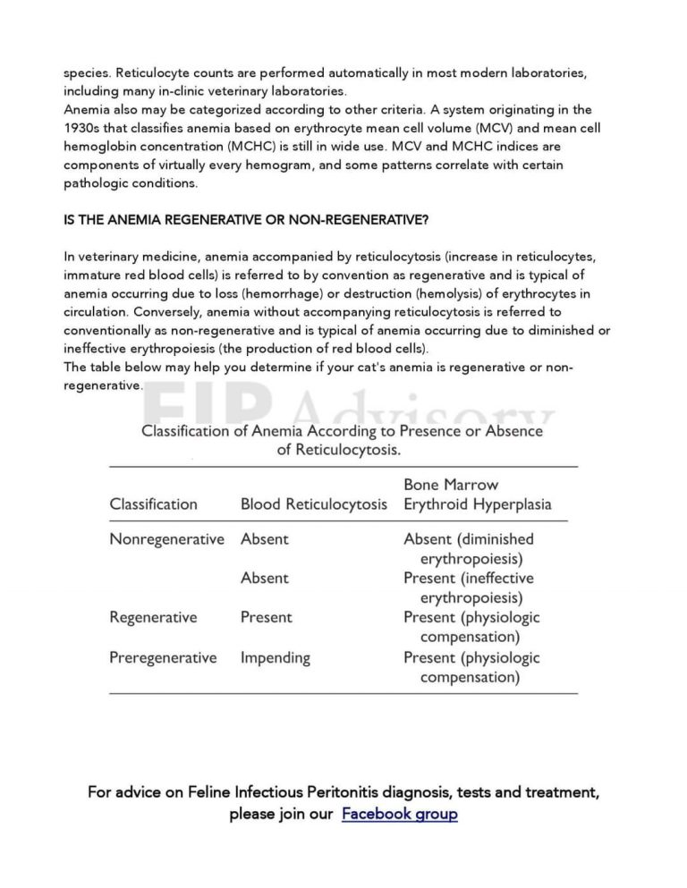 Diagnosing and Testing for FIP – FIP Cats UK