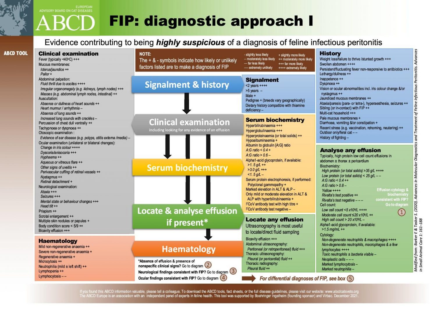 Diagnosing and Testing for FIP – FIP Cats UK