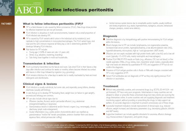 Diagnosing and Testing for FIP – FIP Cats UK