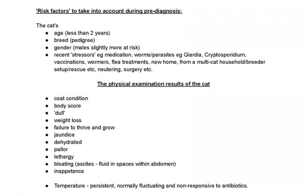 All about FIP (Feline Infectious Peritonitis) – FIP Cats UK