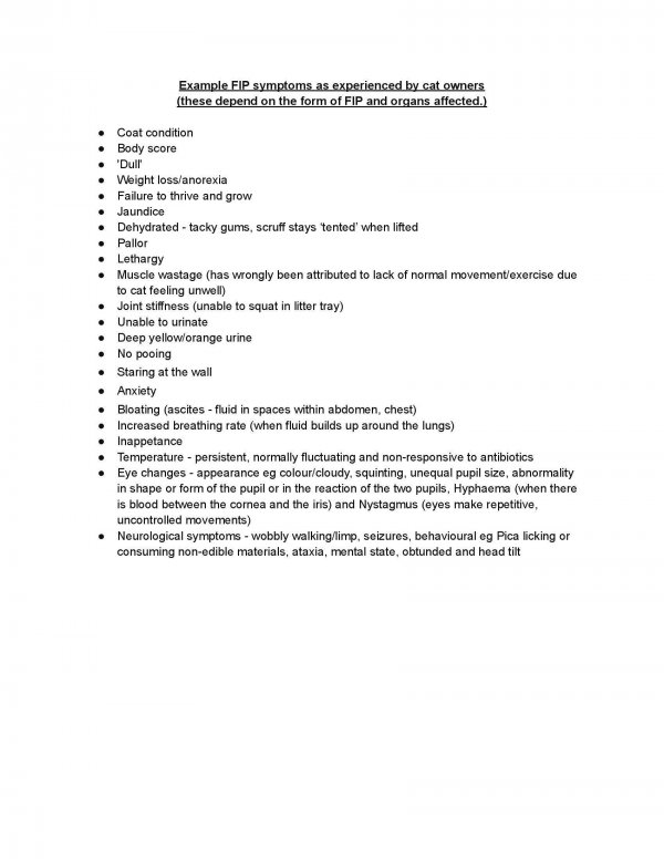 All about FIP (Feline Infectious Peritonitis) – FIP Cats UK