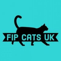 FIP Cats UK – Feline Infectious Peritonitis: Legal UK Veterinary ...
