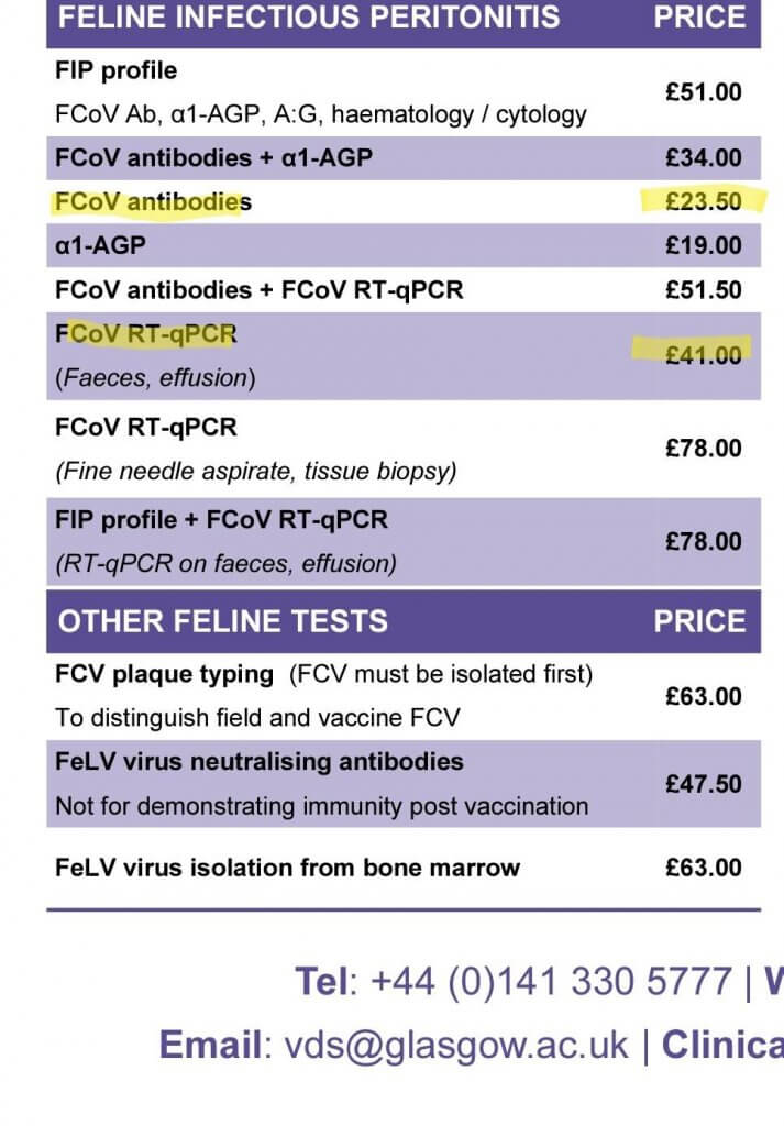 Additional Helpful Information – FIP Cats UK