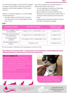UK Vet FIP Legal Treatment – FIP Cats UK