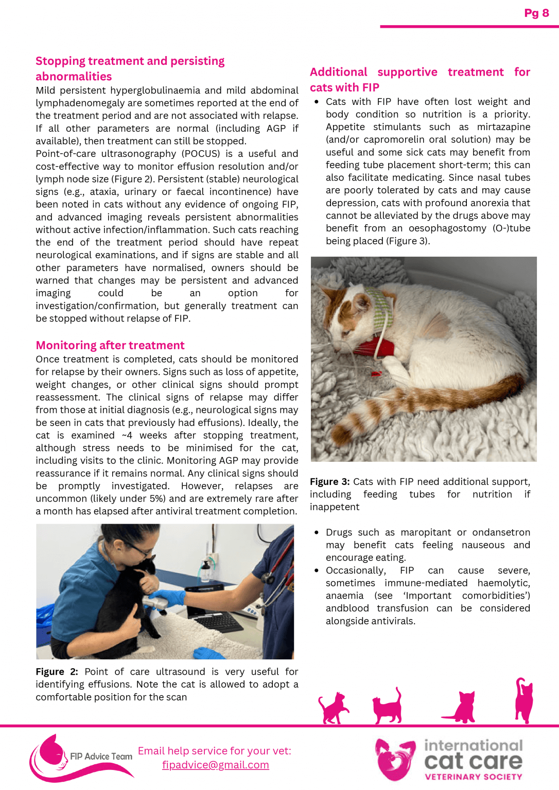 UK Vet FIP Legal Treatment – FIP Cats UK
