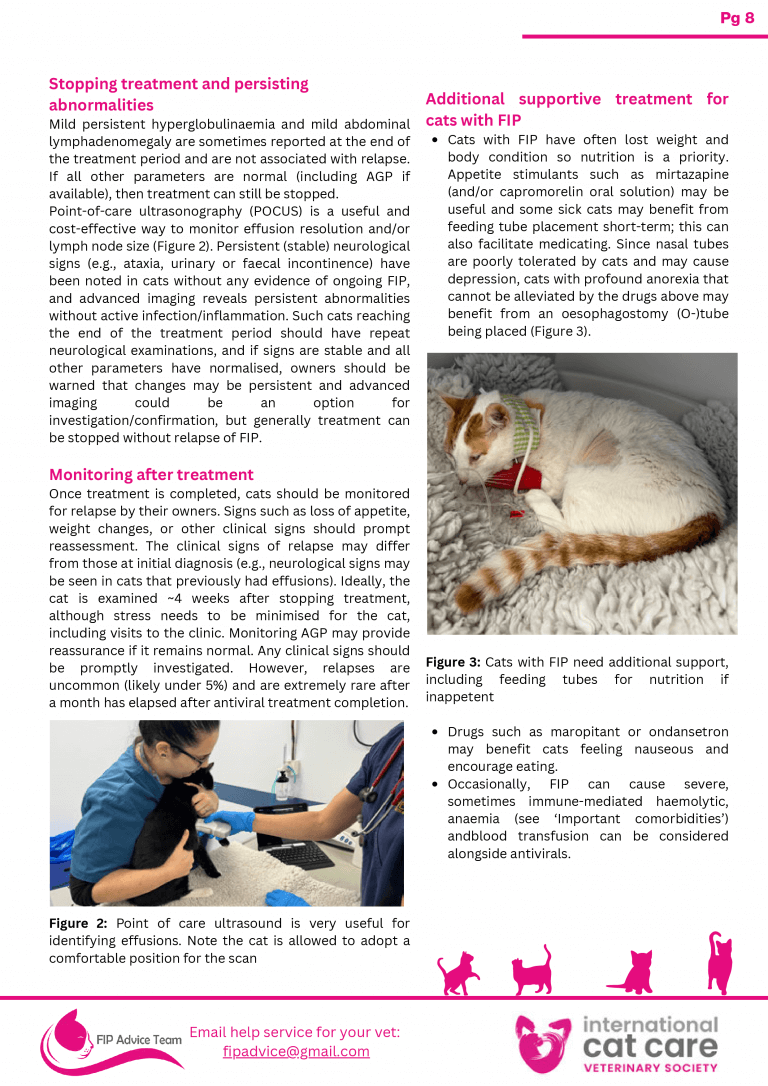 UK Vet FIP Legal Treatment – FIP Cats UK
