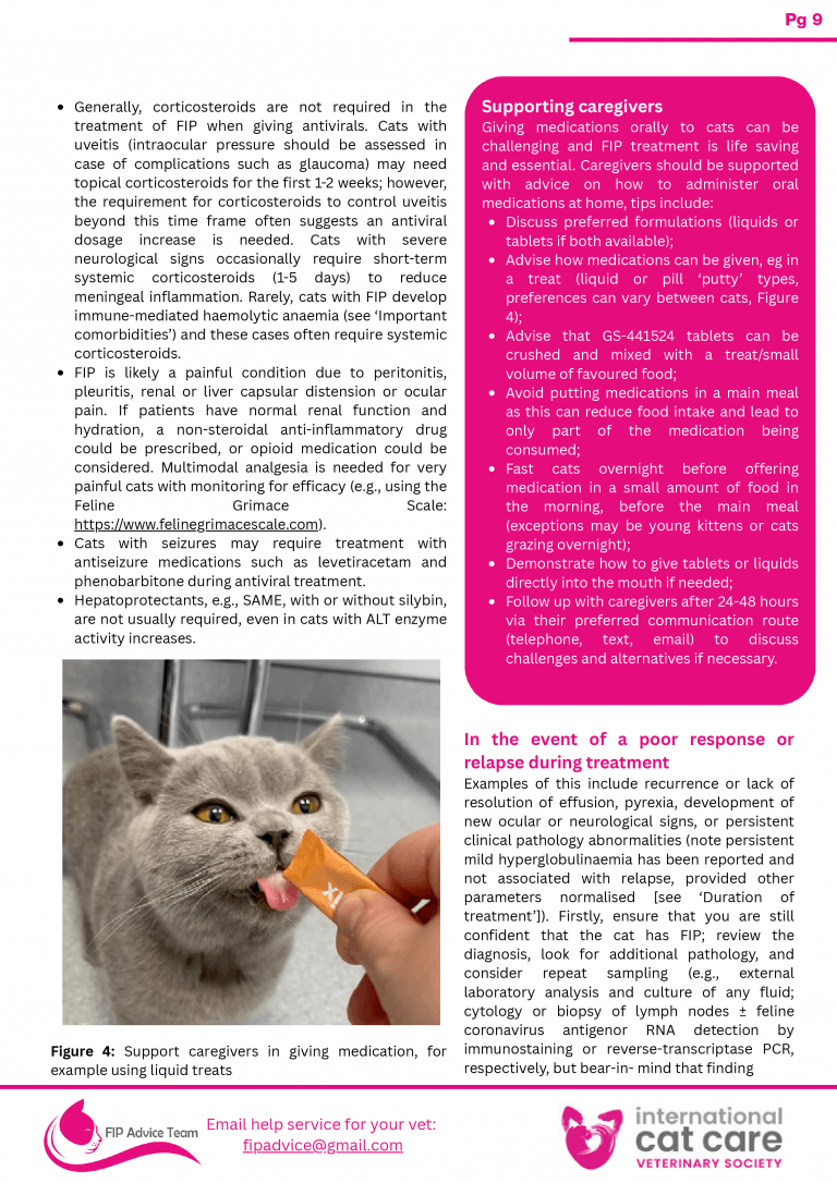 UK Vet FIP Legal Treatment – FIP Cats UK