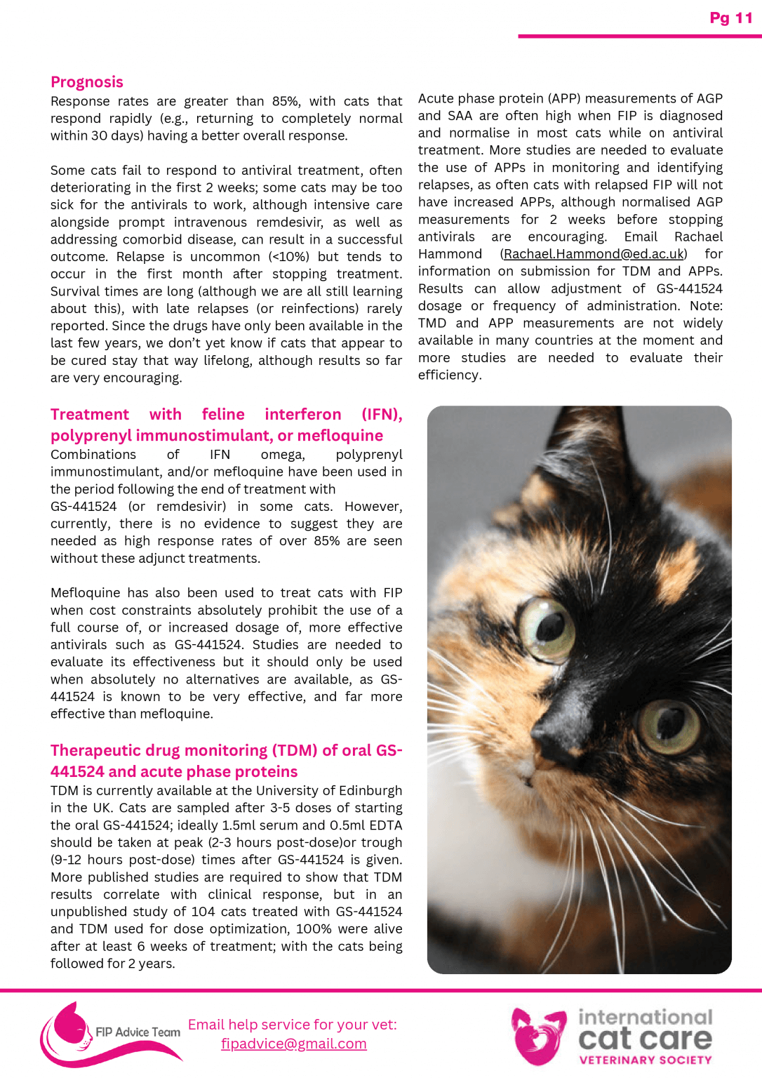 UK Vet FIP Legal Treatment – FIP Cats UK